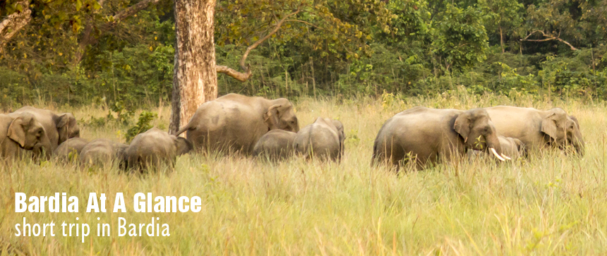 Bardia At A Glance Tour- 2 Nights/3 Days - FOREST HIDEAWAY RESORT PVT ...